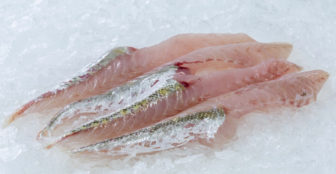 Flathead Fillets (Boneless + Skinless) - Newcastle Seafood